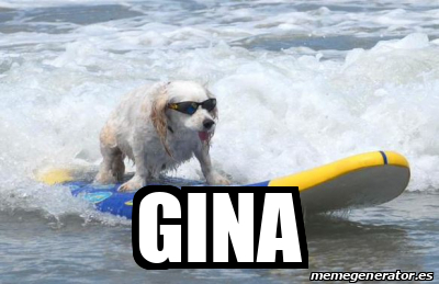 Meme Personalizado - Gina - 31733566