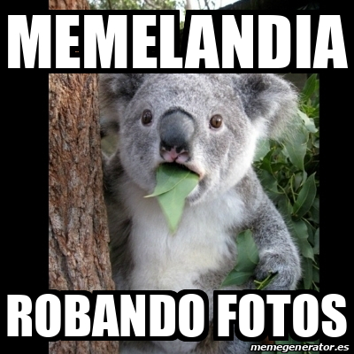 Meme Koala - MEMELANDIA ROBANDO FOTOS - 31733987