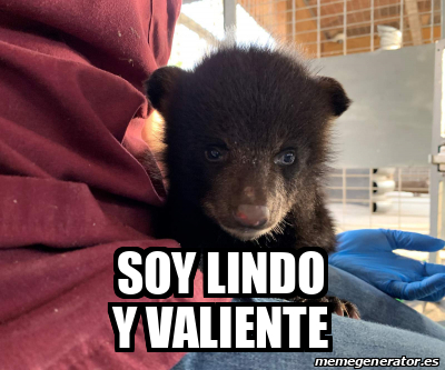 Meme Personalizado - sOY LINDO Y VALIENTE - 31738272
