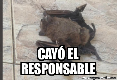 Meme Personalizado - cayó el responsable - 31739071