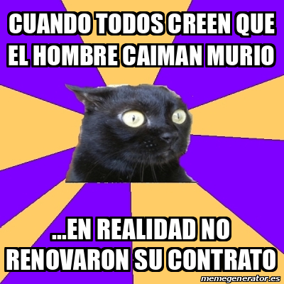 Meme Anxiety Cat - CUANDO TODOS CREEN QUE EL HOMBRE CAIMAN MURIO ...EN ...