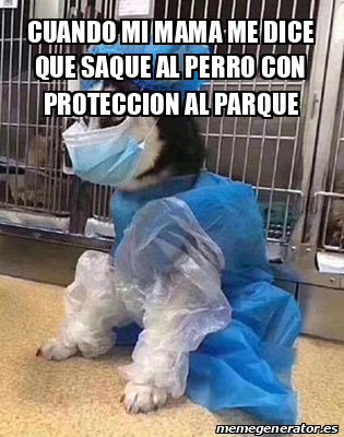 Meme Personalizado - CUANDO MI MAMA ME DICE QUE SAQUE AL PERRO CON ...