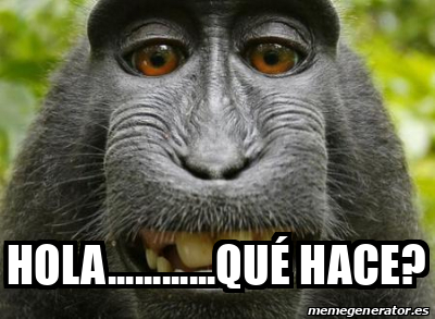 Meme Personalizado - Hola............qué hace? - 31743455
