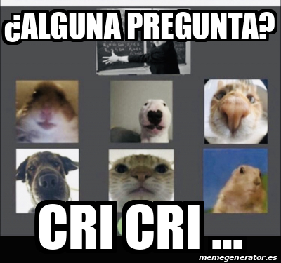 Meme Personalizado - ¿Alguna pregunta? cri cri ... - 31743520