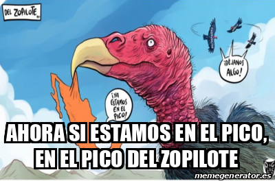 Meme Personalizado - Ahora si estamos en el pico, en el pico del ...