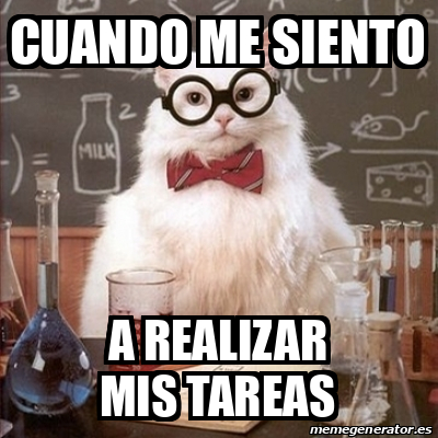 Meme Chemistry Cat - cuando me siento a realizar mis tareas - 31745752