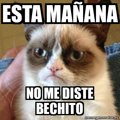 Meme Grumpy Cat - Esta mañana No me diste bechito - 31748626