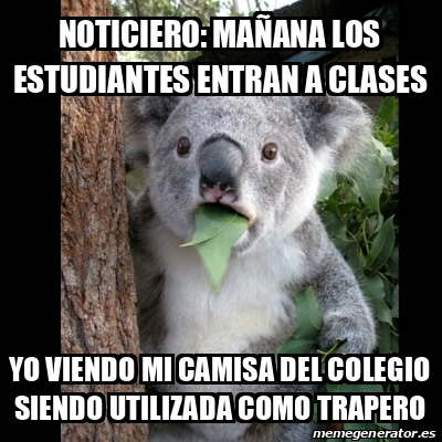 Meme Koala - noticiero: mañana los estudiantes entran a clases yo ...
