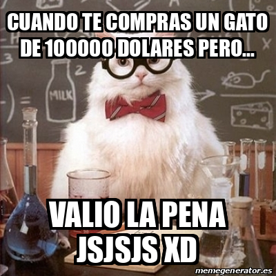 Meme Chemistry Cat - CUANDO TE COMPRAS UN GATO DE 100000 DOLARES PERO ...