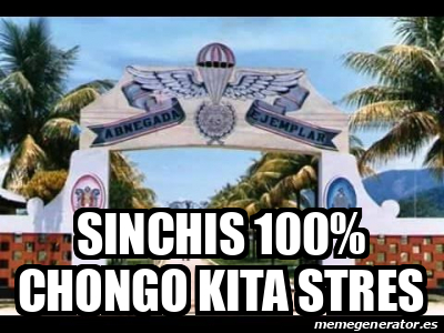 Meme Personalizado - SINCHIS 100% CHONGO KITA STRES - 31753865