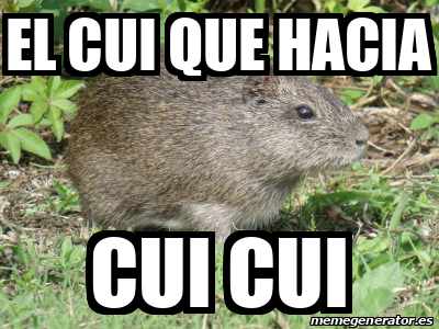 Meme Personalizado - El Cui que hacia Cui Cui - 31754516