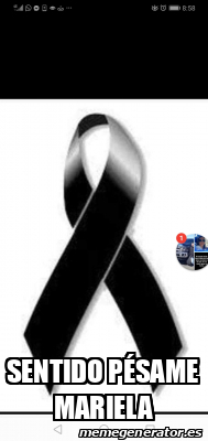 Meme Personalizado - Sentido pésame mariela - 31755220