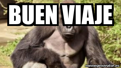 Meme Personalizado - Buen viaje - 31760091