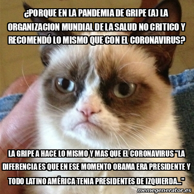 Meme Grumpy Cat - ¿porque en la pandemia de gripe (a) la organizacion ...