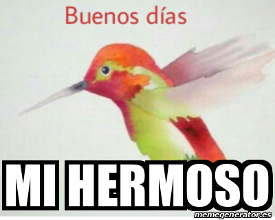 Meme Personalizado - Mi hermoso - 31762372