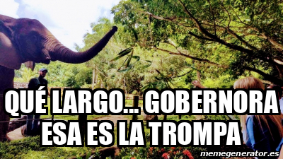 Meme Personalizado - Qué largo... Gobernora esa es la trompa - 31768994