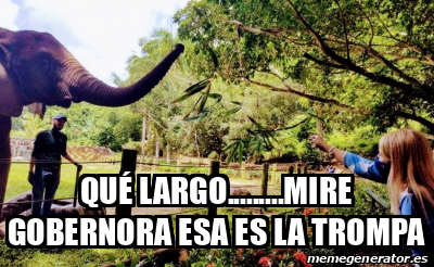 Meme Personalizado - Qué largo.........mire gobernora esa es la trompa ...