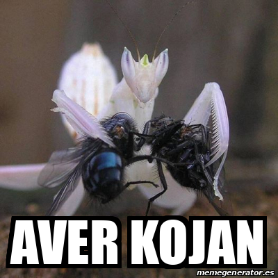 Meme Personalizado - aver kojan - 31776012