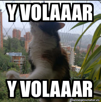 Meme Personalizado - Y volaaar Y volaaar - 31780984
