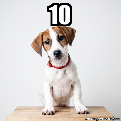 Meme Personalizado - 10 - 31781075