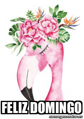 Meme Personalizado - feliz domingo - 31783838