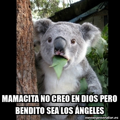 Meme Koala - mamacita no creo en dios pero BENDITO sea los áNGELES ...