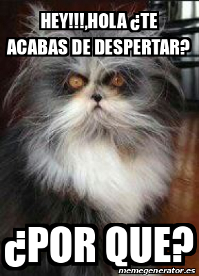 Meme Personalizado - Hey!!!,hola ¿te acabas de despertar? ¿por que ...