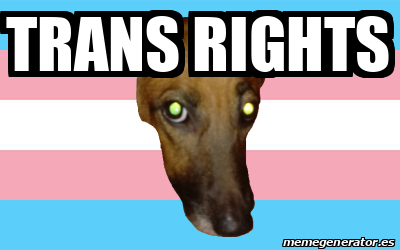 Meme Personalizado - TRANS RIGHTS - 31788155