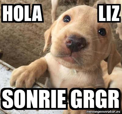 Meme Personalizado - HOLA LIZ SONRIE GRGR - 31788660