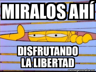 Meme Personalizado - Miralos ahí Disfrutando la libertad - 31789441
