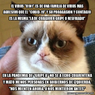 Meme Grumpy Cat - el virus "h1n1" es de una familia de virus mas ...
