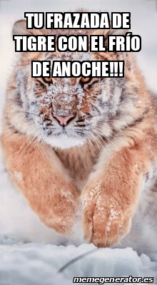 Meme Personalizado - Tu frazada de tigre con el frío de anoche ...