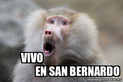 Meme Personalizado - VIVO EN SAN BERNARDO - 31791401