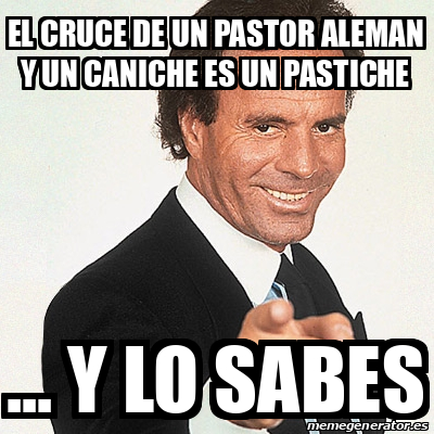 Meme Julio Iglesias - El cruce de un pastor aleman y un caniche es un ...