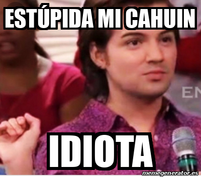 Meme Personalizado - Estúpida mi cahuin Idiota - 31796410