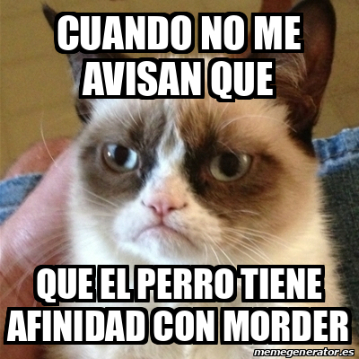 Meme Grumpy Cat - Cuando no me avisan que Que el perro tiene afinidad ...