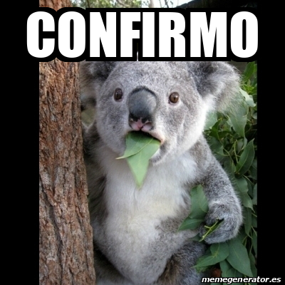 Meme Koala - CONFIRMO - 31799709
