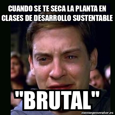 Meme crying peter parker - cuando se te seca la planta en clases de ...