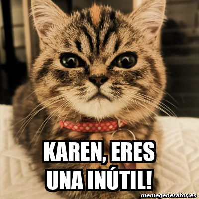 Meme Personalizado - Karen, eres una inútil! - 31801913