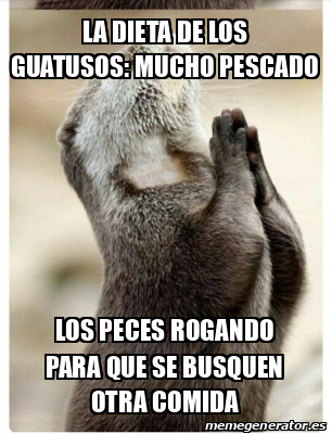Meme Personalizado - La dieta de los gUatusos: mucho pescado los peces ...