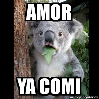 Meme Koala - amor ya comi - 31804114
