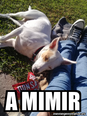 Meme Personalizado - A mimir - 31806265
