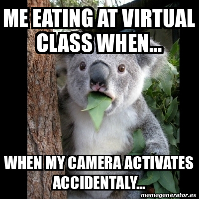 Meme Koala - ME EATING AT VIRTUAL CLASS WHEN... WHEN MY CAMERA ...