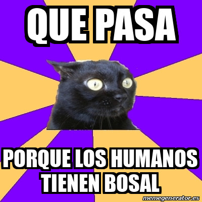 Meme Anxiety Cat - que pasa porque los humanos tienen bosal - 31808065