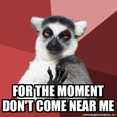 Meme Chill Out Lemur - for the moment don't come near me - 31811079