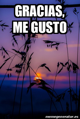 Meme Personalizado - Gracias, me gusto - 31813105