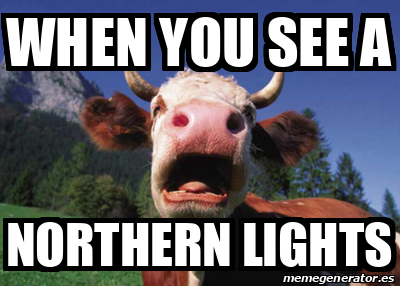 Meme Personalizado - WHEN YOU SEE A NORTHERN LIGHTS - 31813420
