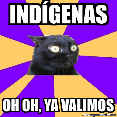 Meme Anxiety Cat - Indígenas Oh oh, ya valimos - 31817473