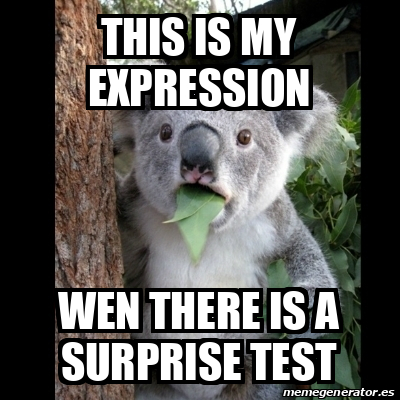 Meme Koala - this is my expression wen there is a surprise test - 31817494