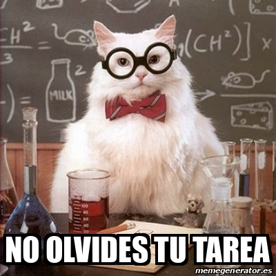 Meme Chemistry Cat - no olvides tu tarea - 31820791